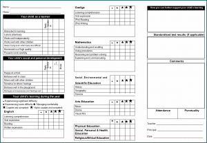 》Free Printable Blank Report Card