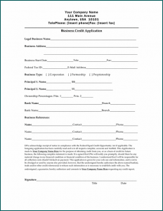 》Free Printable Business Credit Application Form