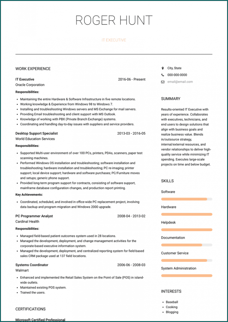 Executive Resume Template Example | Bogiolo