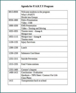 》Free Printable Party Program Template