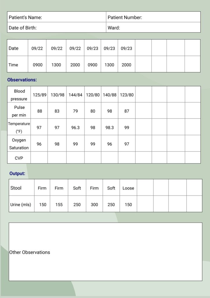 》Printable Patient Chart Template