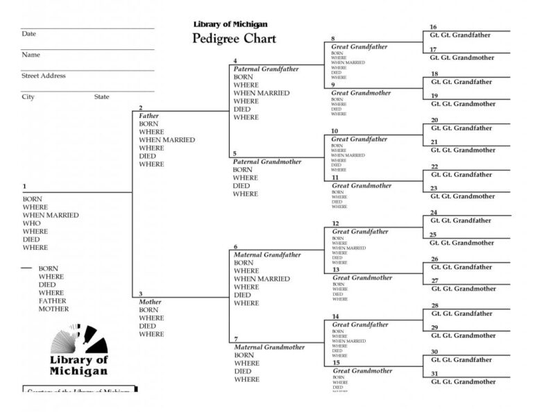 》Printable Pedigree Chart Template